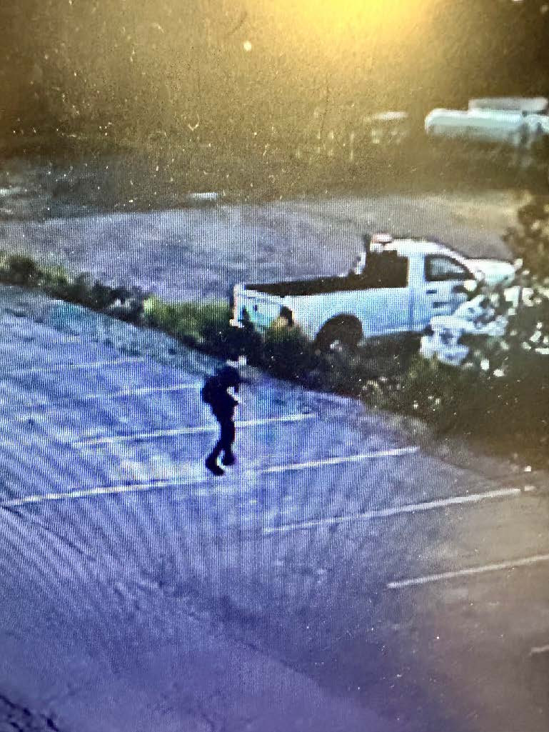Gander Rcmp Investigates Theft Of Pickup Truck Seeks Publics Assistance Royal Canadian 0716